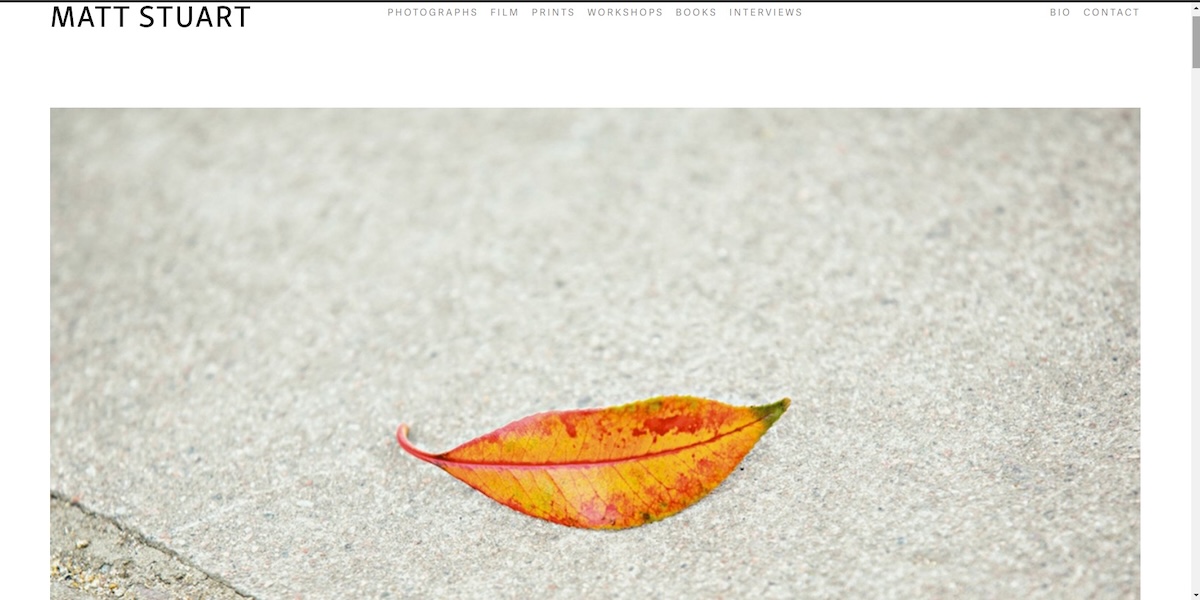 30 Brilliant Photography Portfolios to Inspire You | Honcho