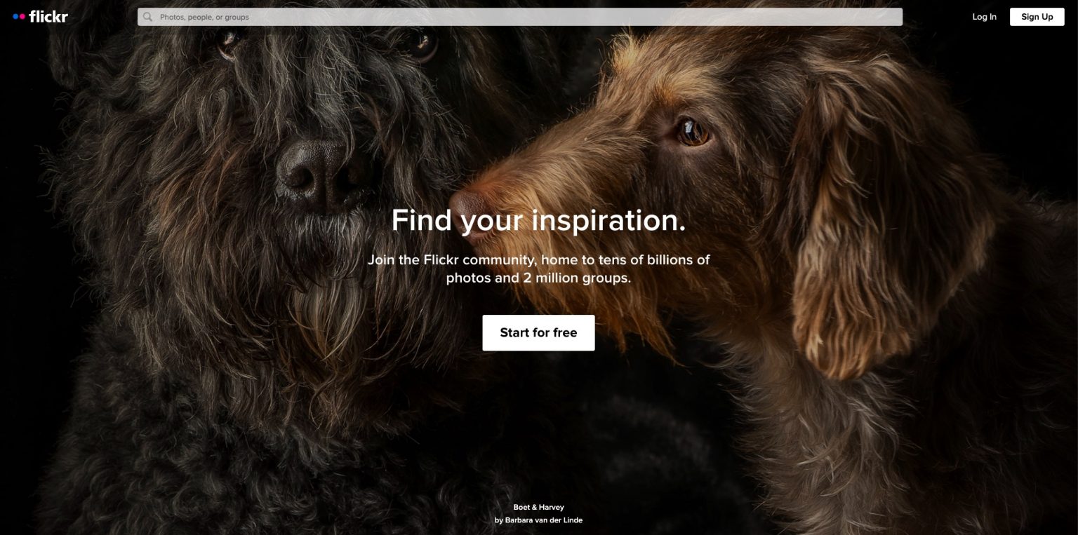 The 28 Best Photo Sharing Apps for Photographers | Honcho