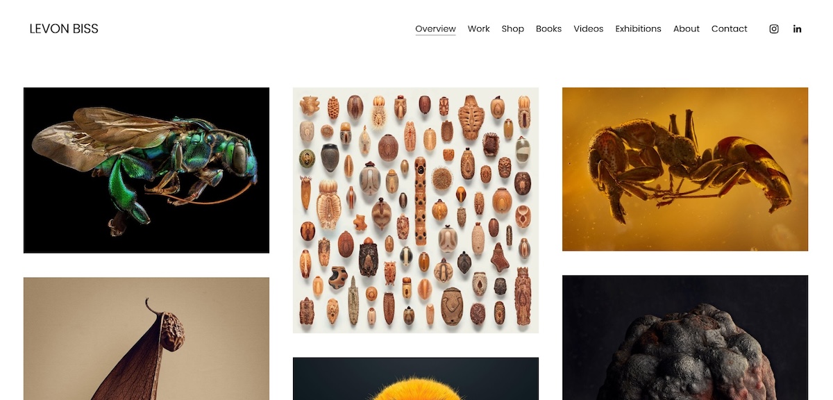 30 Inspiring Photography Website Examples That Win Clients | Honcho