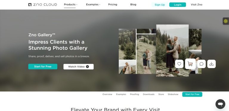 18 Best Online Galleries for Photographers | Honcho