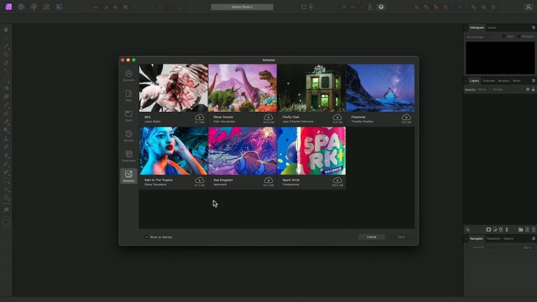 13 Best Adobe Lightroom Alternatives in 2025 | Honcho
