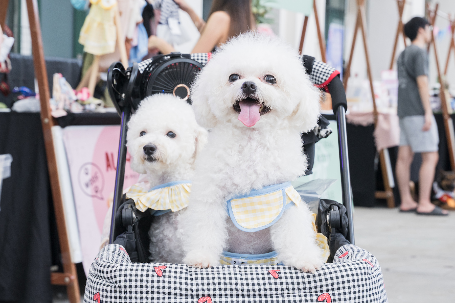 How To Edit Event Photos Like a Pro: A Step-by-Step Guide | Honcho